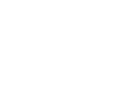 Guide on using Iamvector Image Compressor